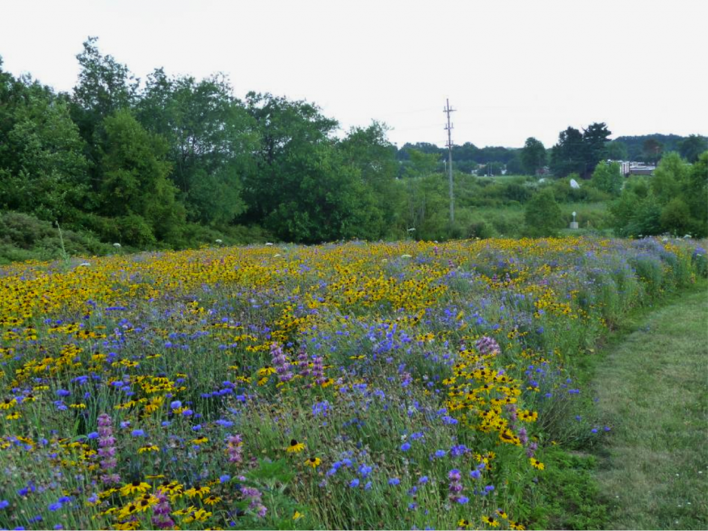 Resources - Creating Sustainable Landscapes