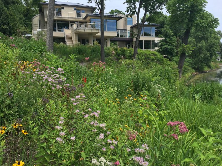 Natural Plantings - Landscape Design w/ Local Plants in Wayne County ...