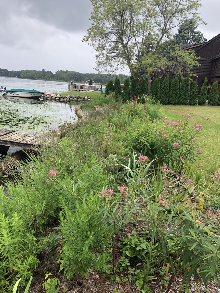 Shoreline Plants & Landscaping in Oakland County, MI | Creating ...