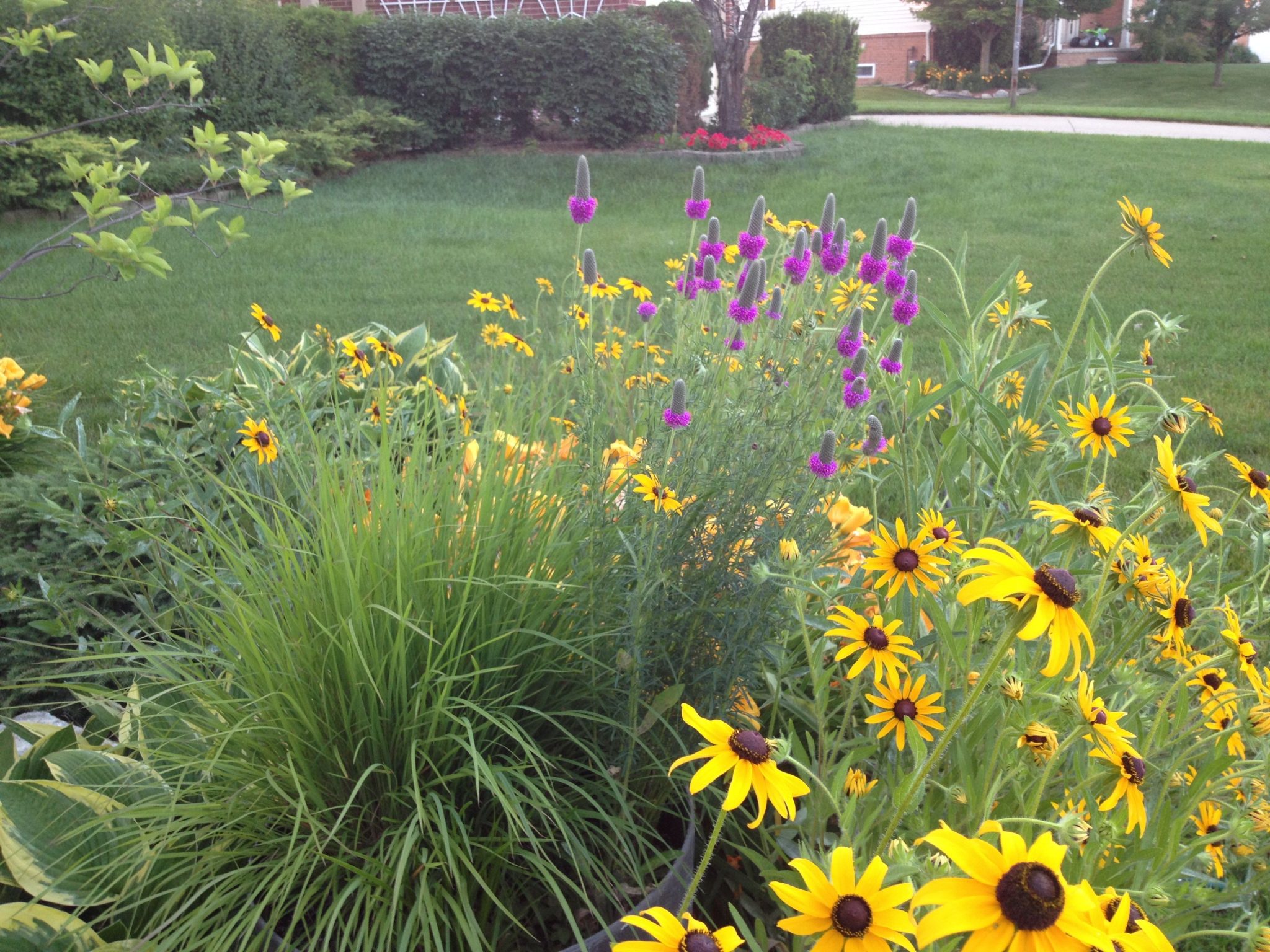 Perennial Bed Design & Native Landscaping in Oakland County MI ...