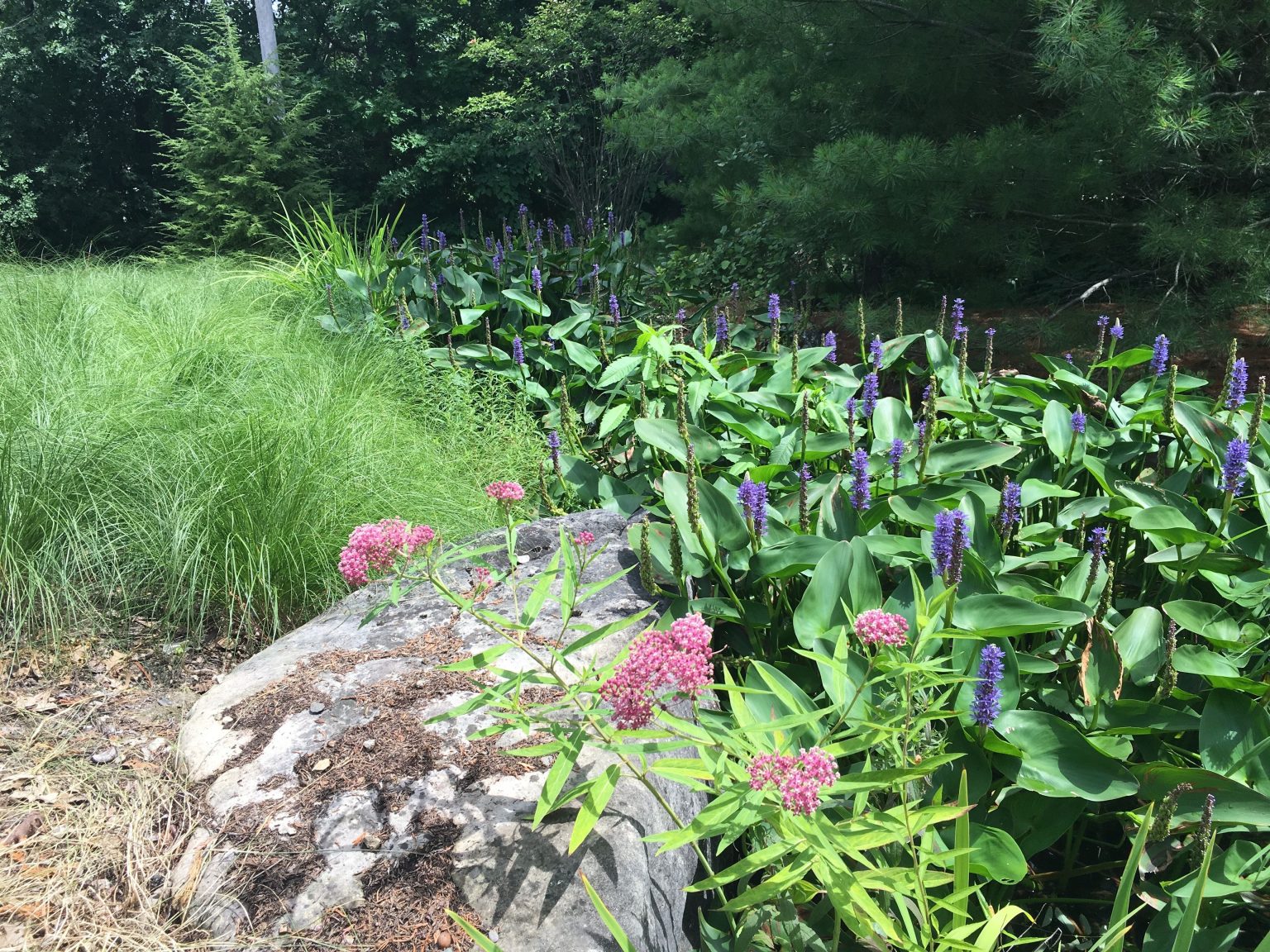 Perennial Bed Design & Native Landscaping in Oakland County MI ...